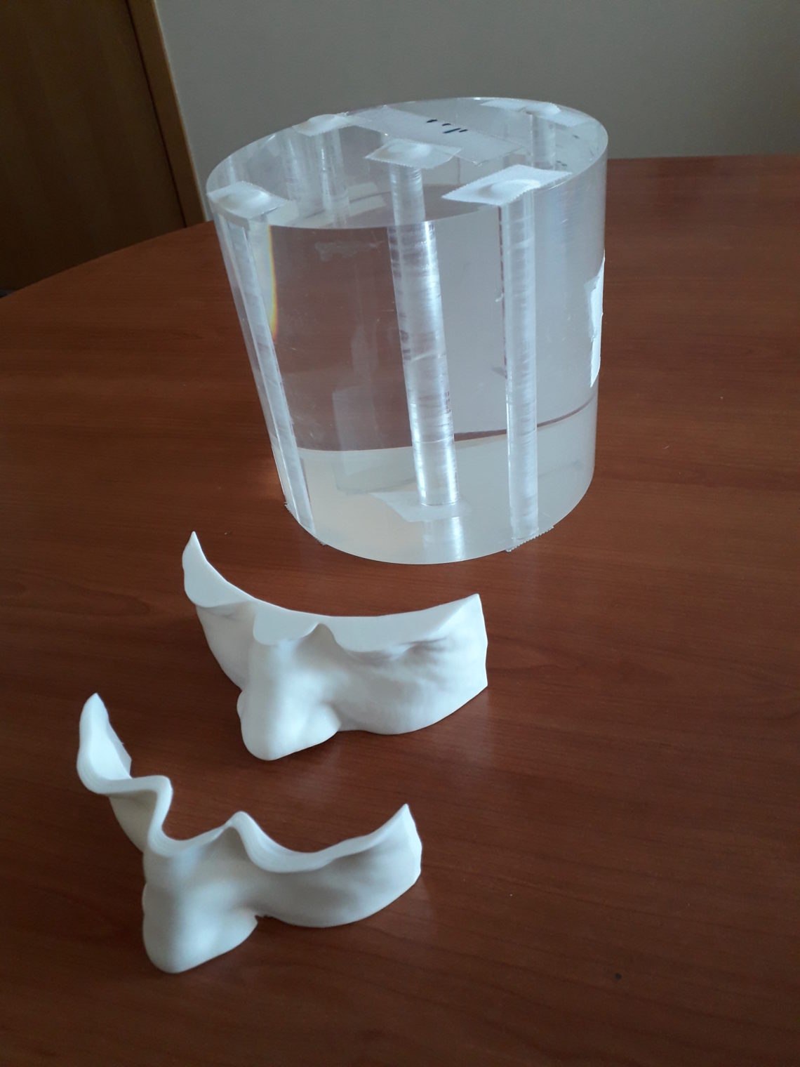 3D printing and medical phantoms: researchers at KTU develop new ...